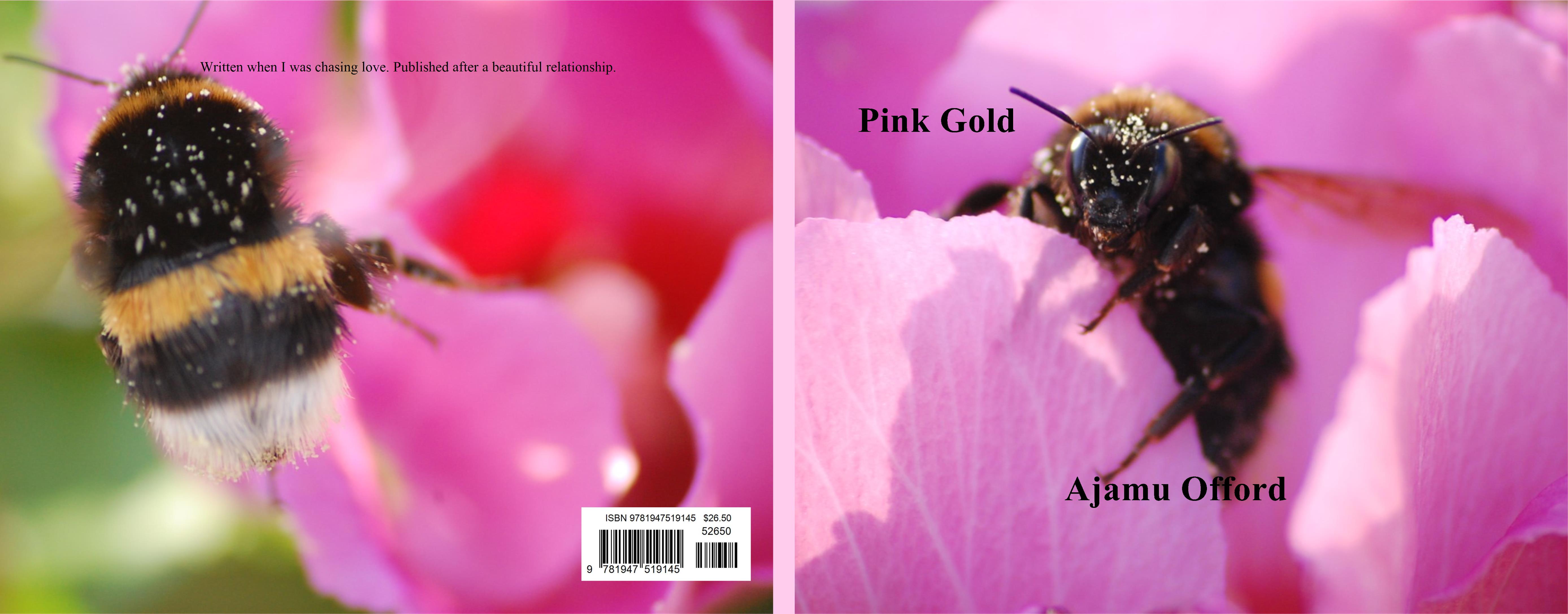 Pink Gold by Ajamu Offord : $26.50 : 9781947519145 : TheBookPatch.com