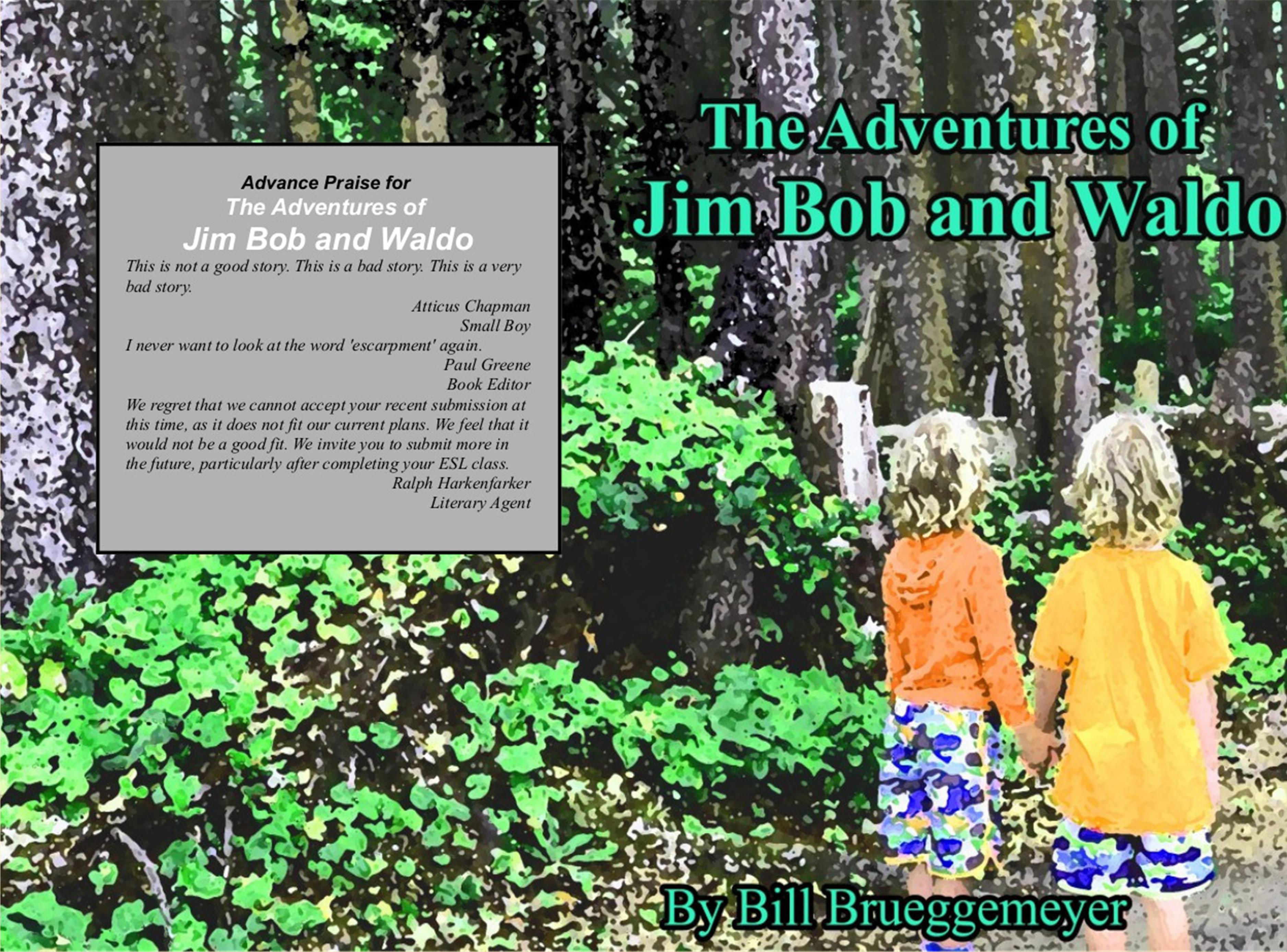 The Adventures of Jim Bob and Waldo by Bill Brueggemeyer : $13.21 ...