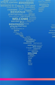 Becoming Bilingual: A Guide to Learning French, Spanish and Beyond by A ...