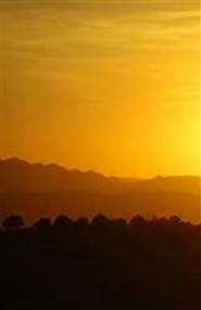 Love Addicts Anonymous by Love Addicts Anonymous : $9.00 : TheBookPatch.com