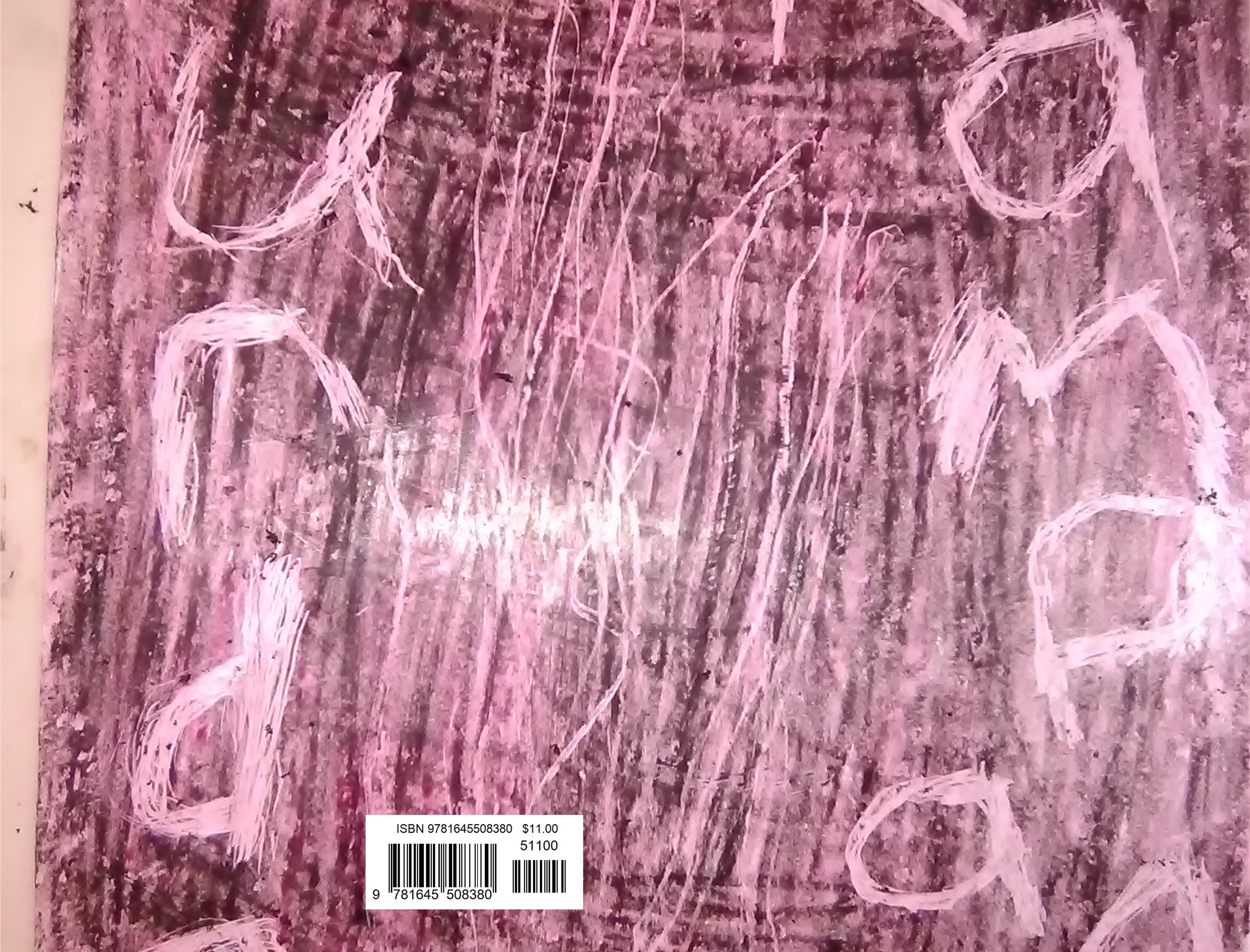 Murderous Rampage by Felicia Jorgenson : $11.00 : 9781645508380 ...